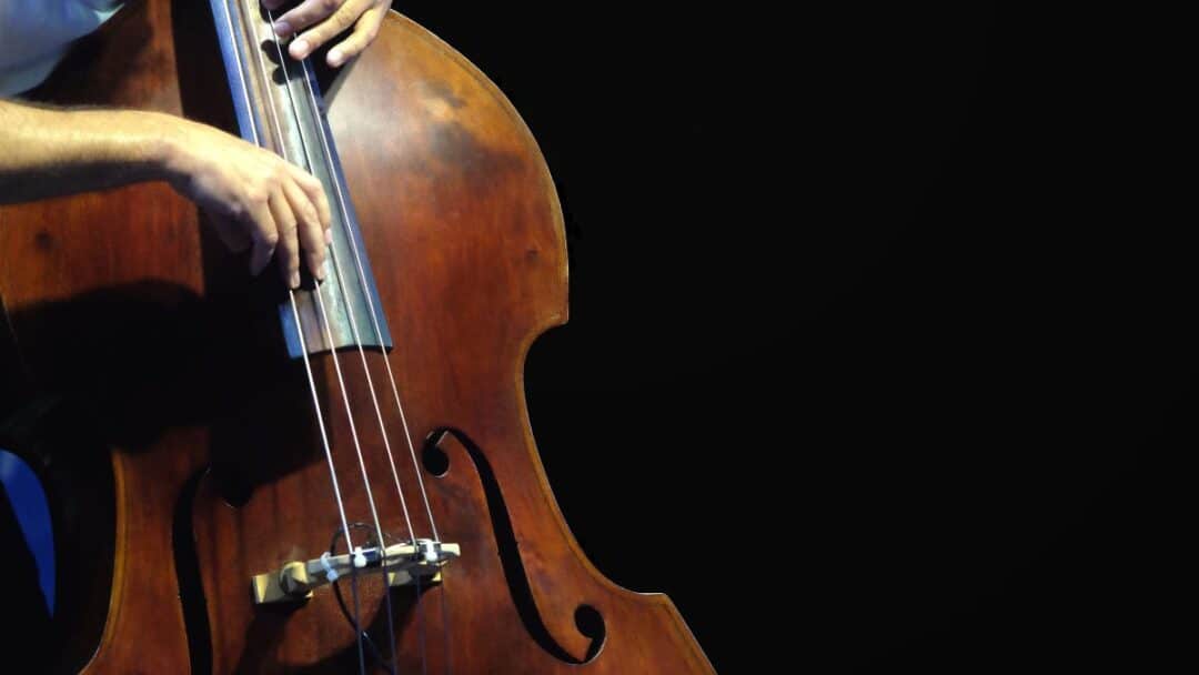 What are the Lowest Pitch Musical Instruments? - Instrumentful