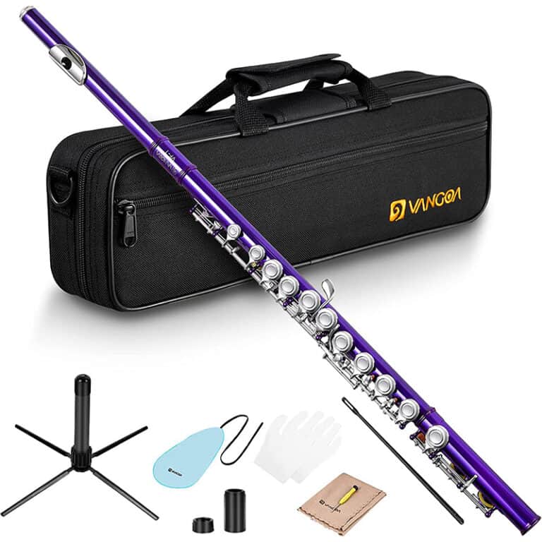 Best Flutes for Beginners [2023 Review]
