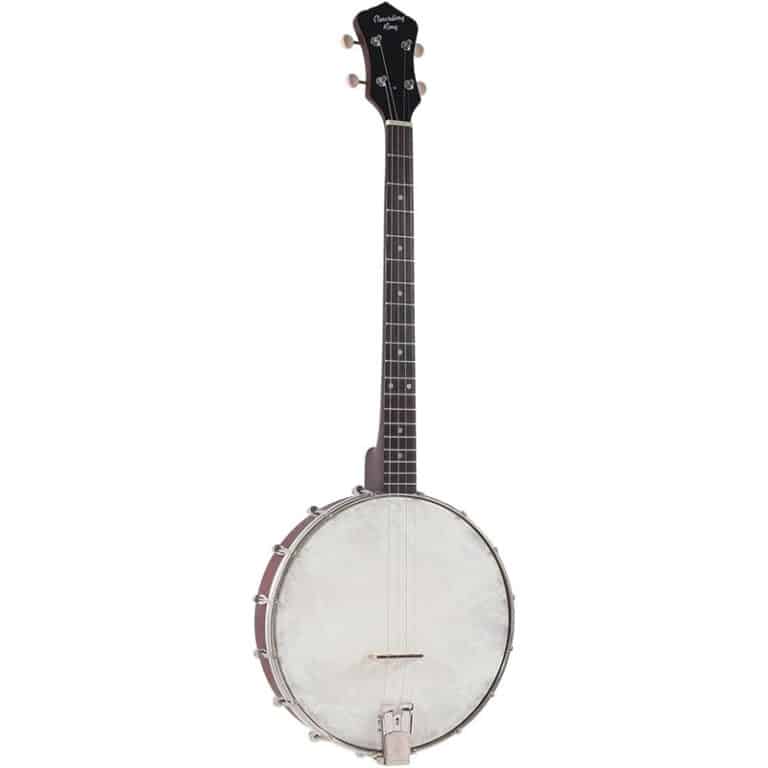 11 Best Cheap Banjos for Beginners and Intermediate Players