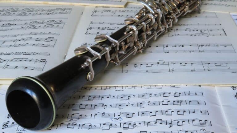 List of Common Woodwind Instruments - Instrumentful
