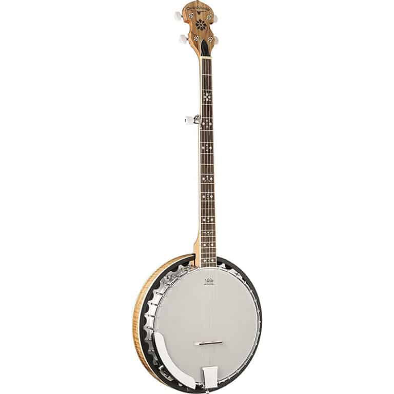 11 Best Cheap Banjos for Beginners and Intermediate Players