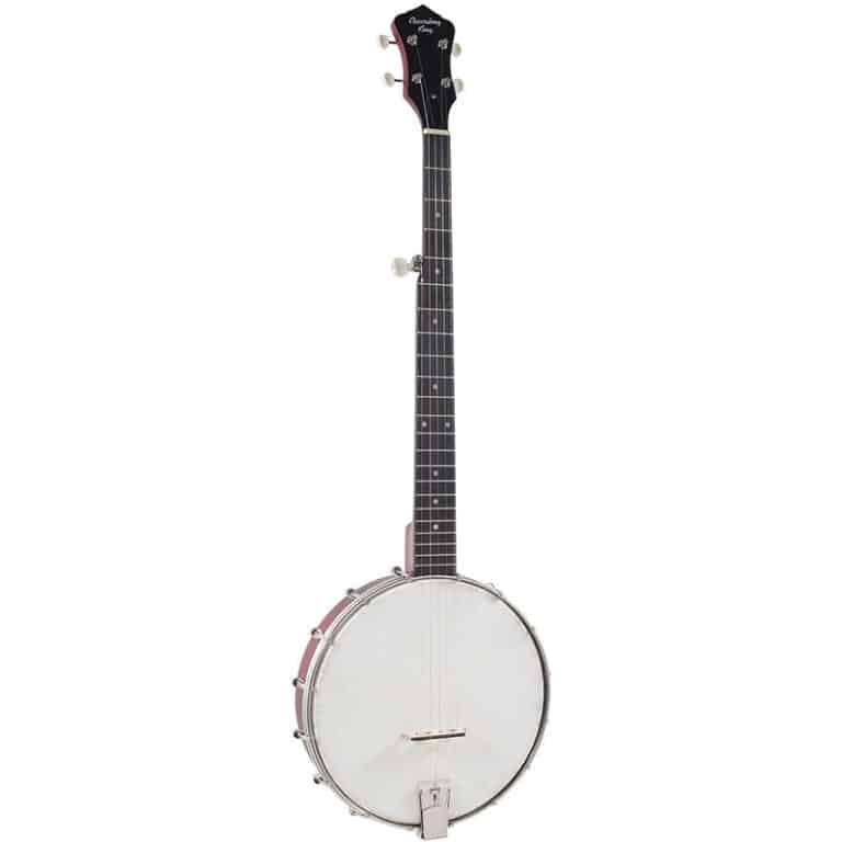 11 Best Cheap Banjos for Beginners and Intermediate Players